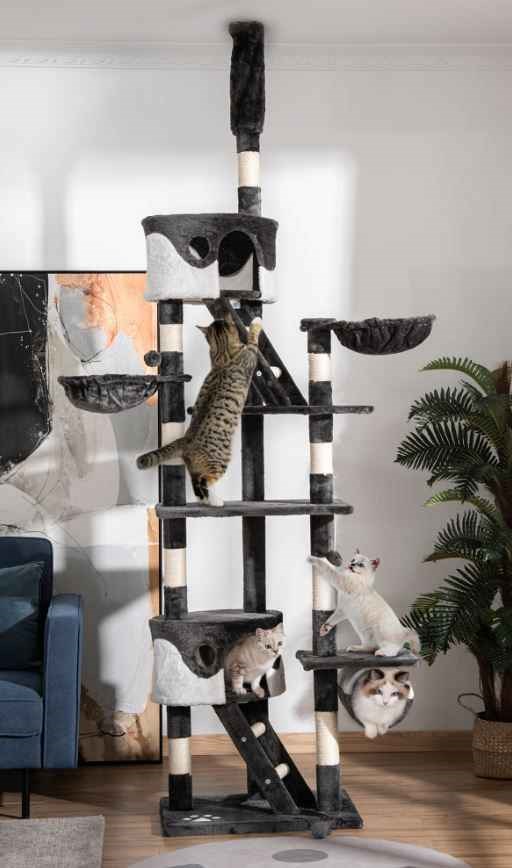 SabbaShop.com - Liquidation & Online Auctions - Save Huge - Pick Up or ...