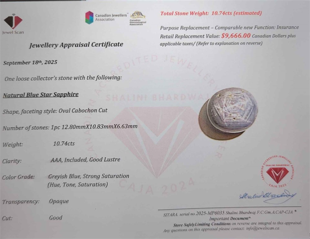 SabbaShop.com - Liquidation & Online Auctions - Save Huge - Pick Up or ...